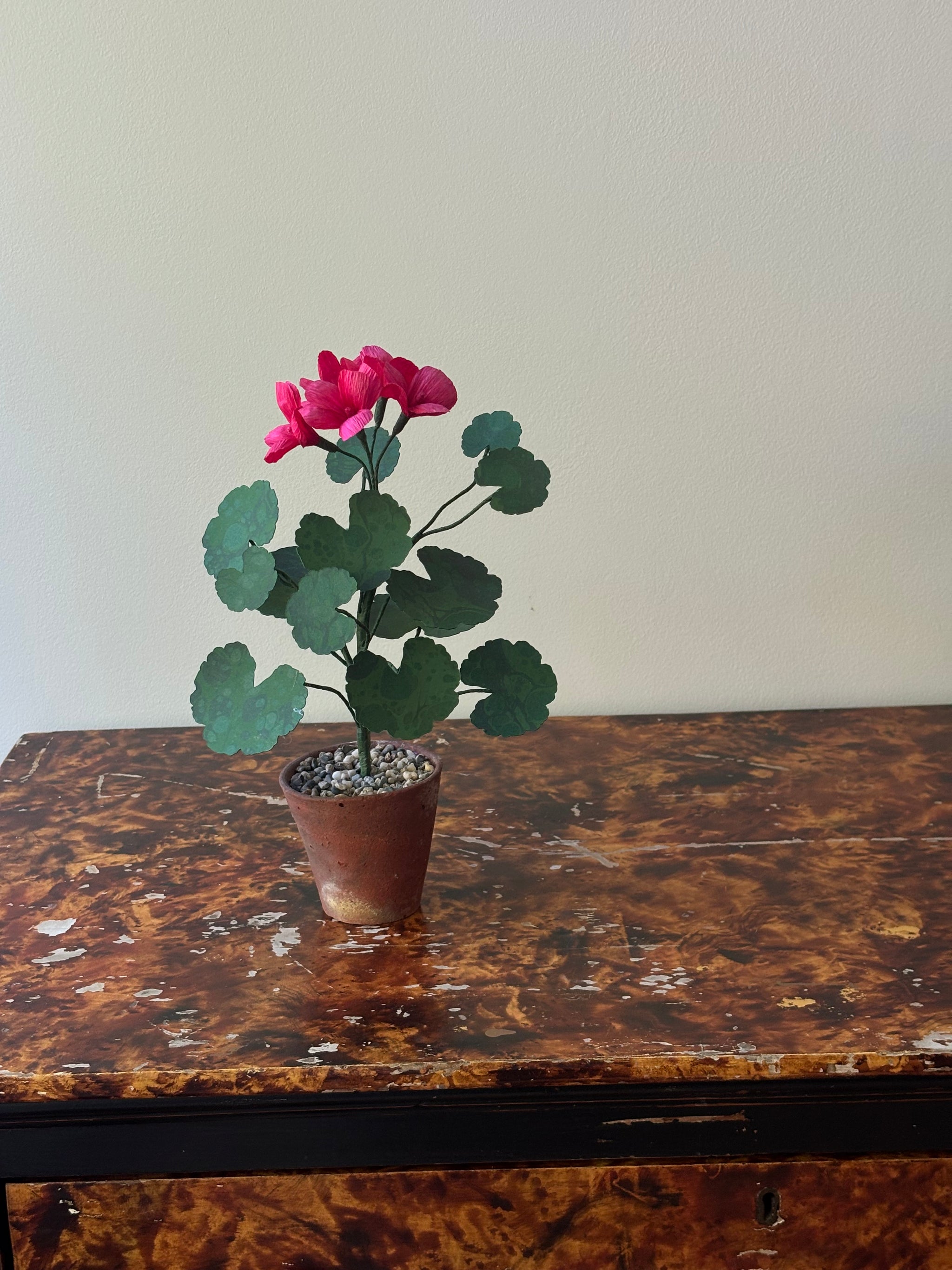 Paper Geranium