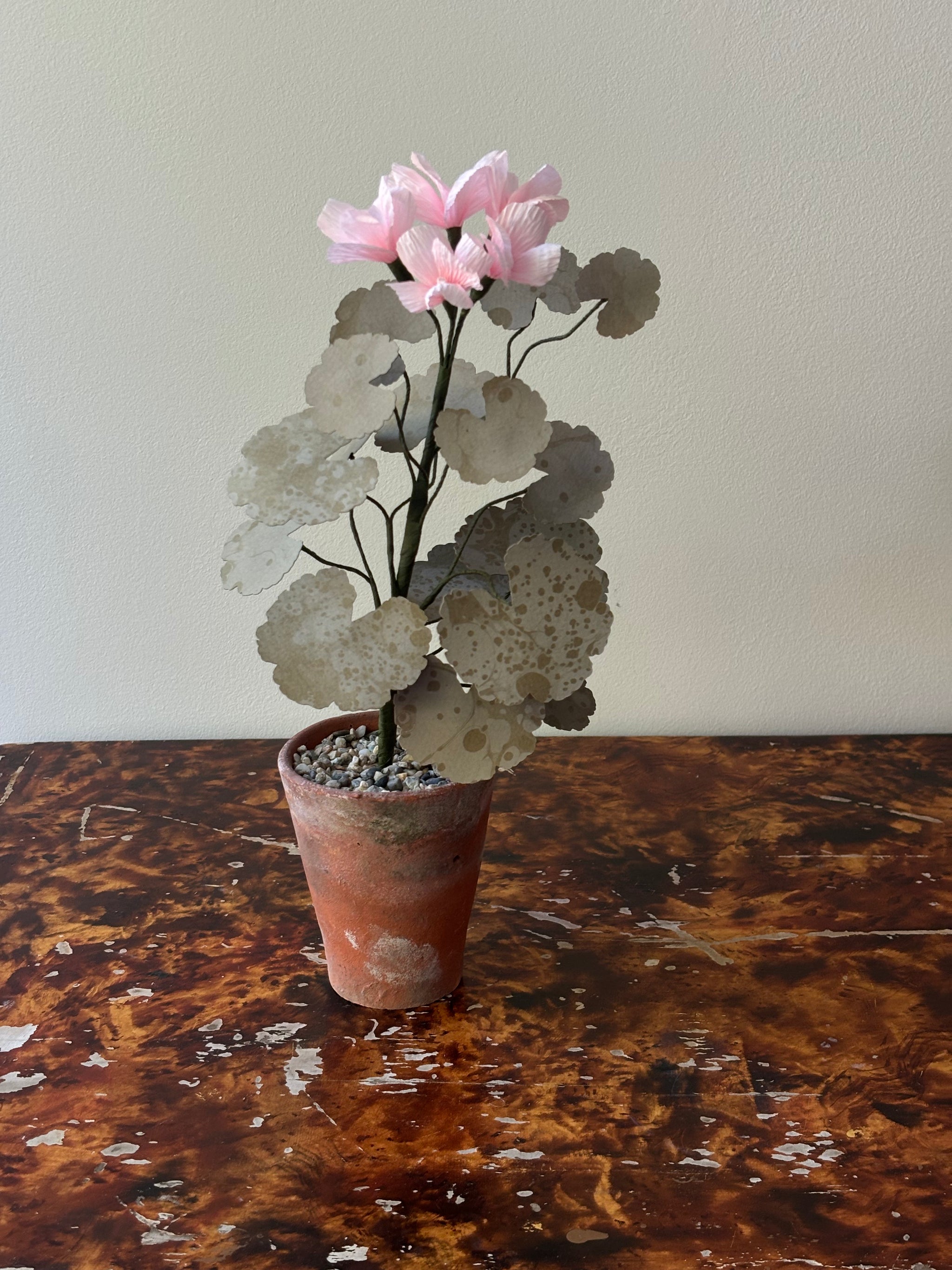 Paper Geranium